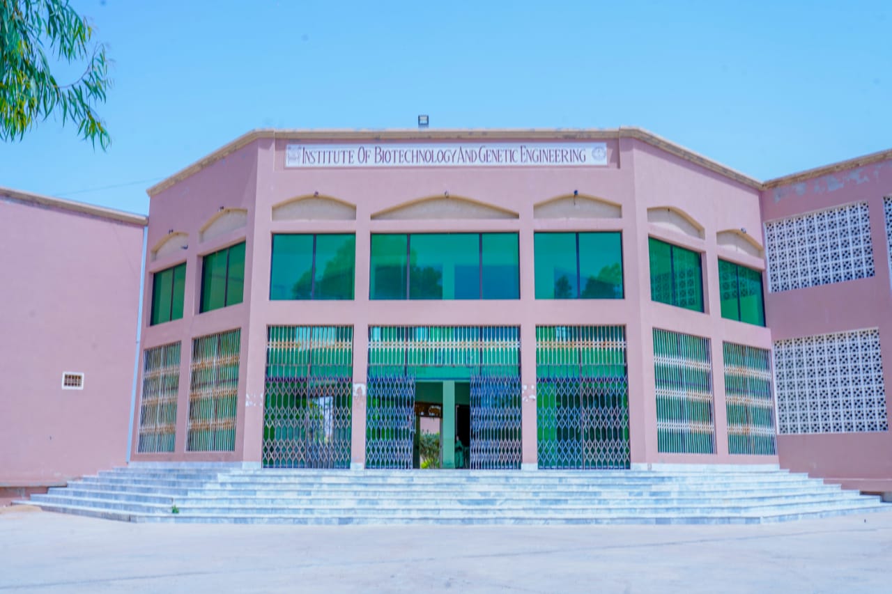 University of Sindh
